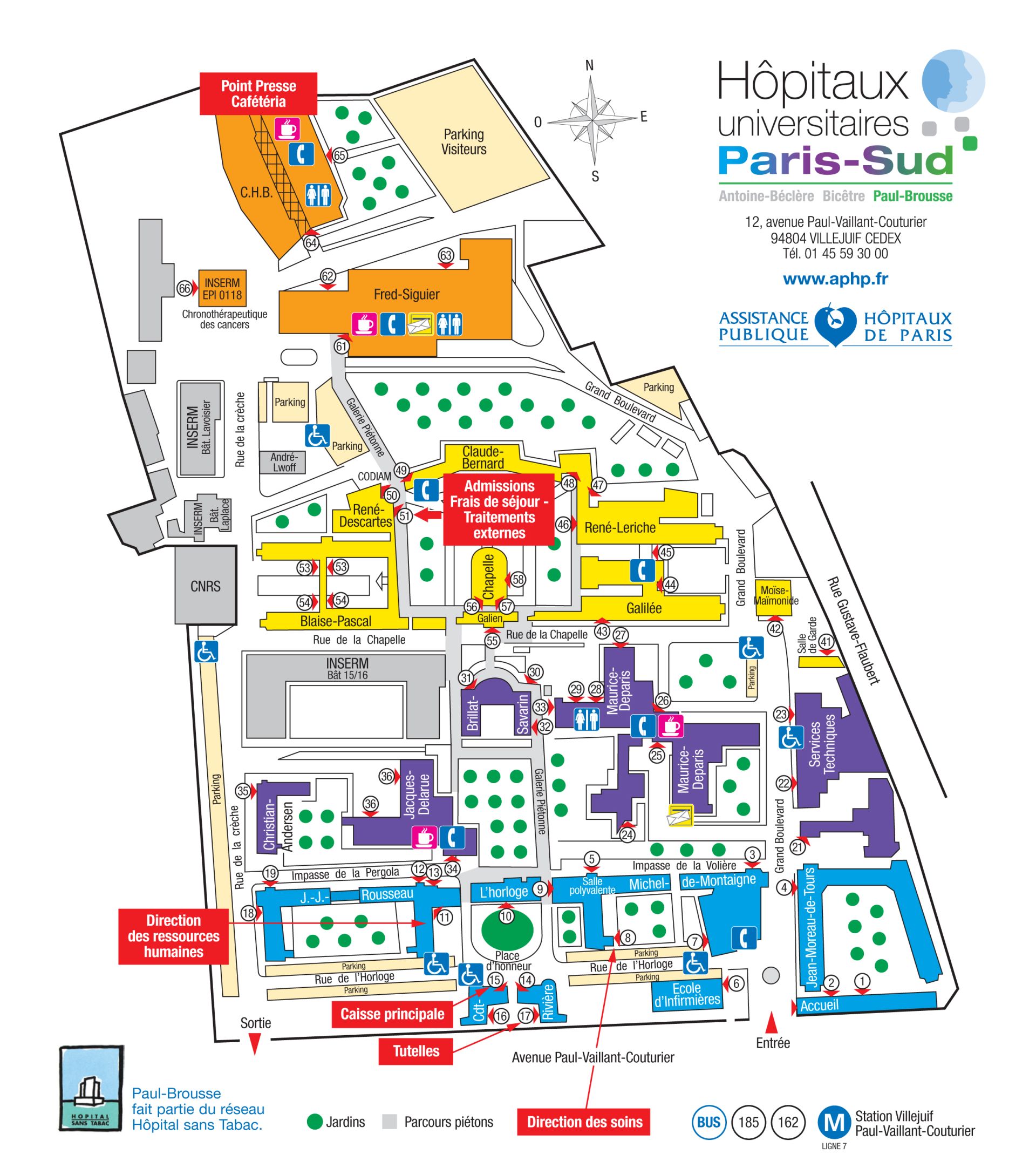 Pr PASCAL HAMMEL GASTRO-ENTEROLOGIE ET HEPATOLOGIE | APHP